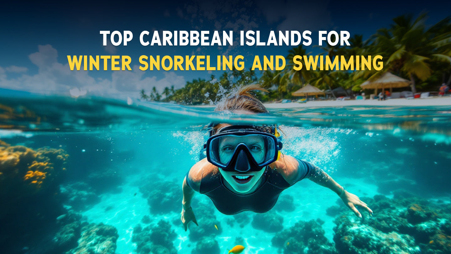 Best Caribbean Islands for Snorkeling and Family Swimming – LiquidPro US